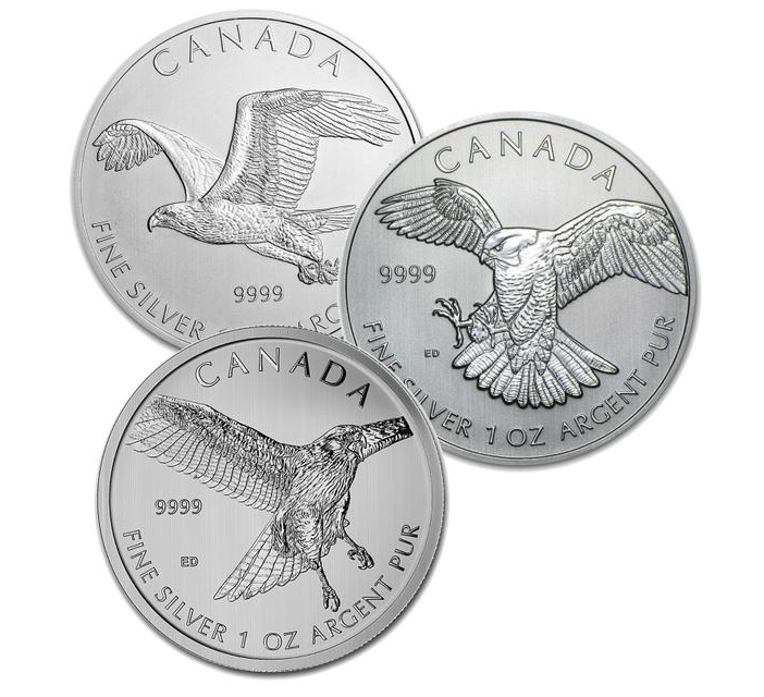 Canadian Birds of Prey Series Silver Coin 1oz (Imperfect) – Various ...